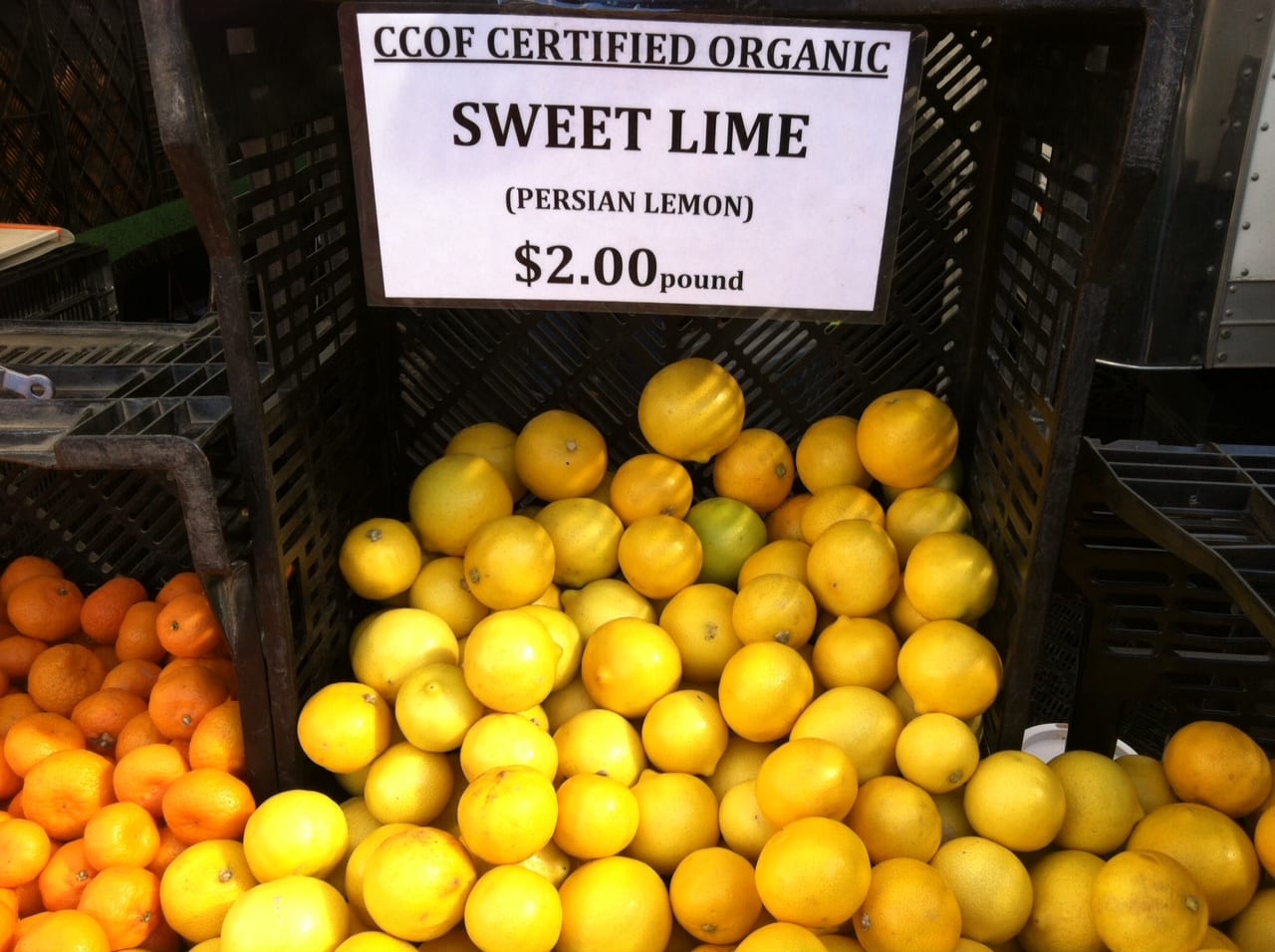 Sweet Lemons – Naz Deravian