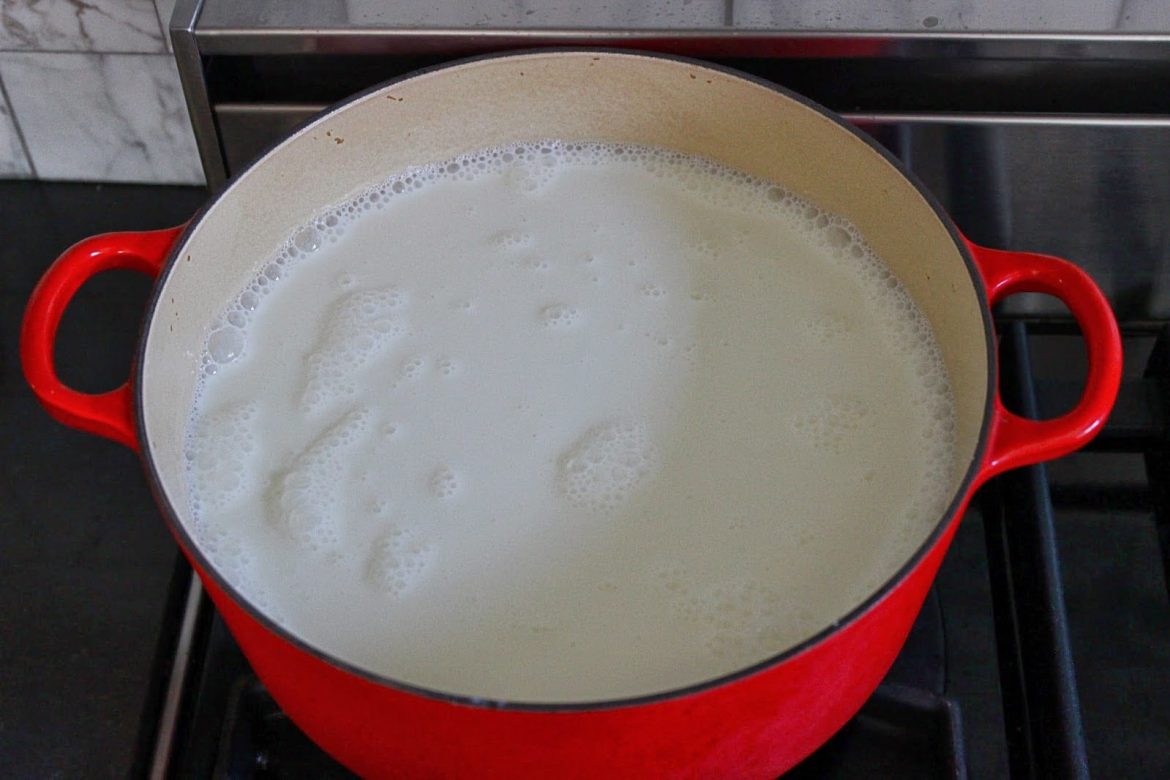 Homemade Kashk – Naz Deravian