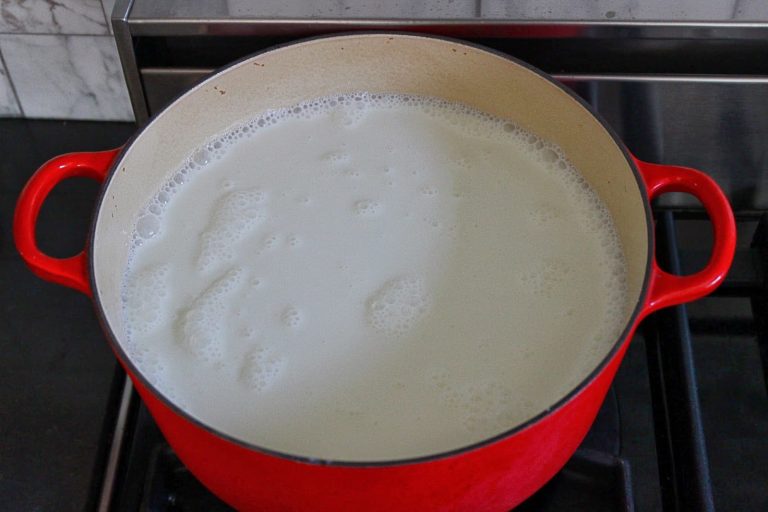Homemade Kashk – Naz Deravian
